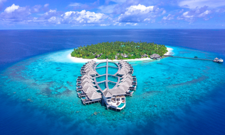 Savor Must-Try Foods in Maldives 2026 | Authentic Island Cuisine